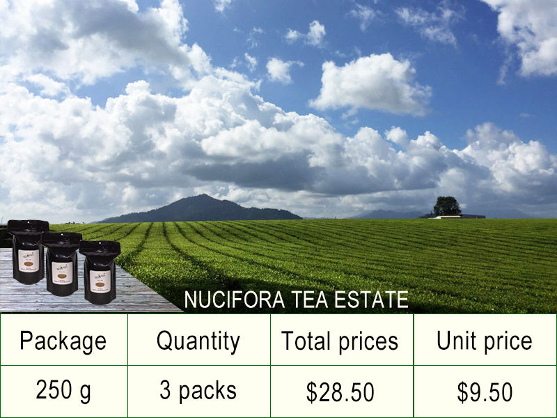 NUCIFORA STORE - NUCIFORA TEA